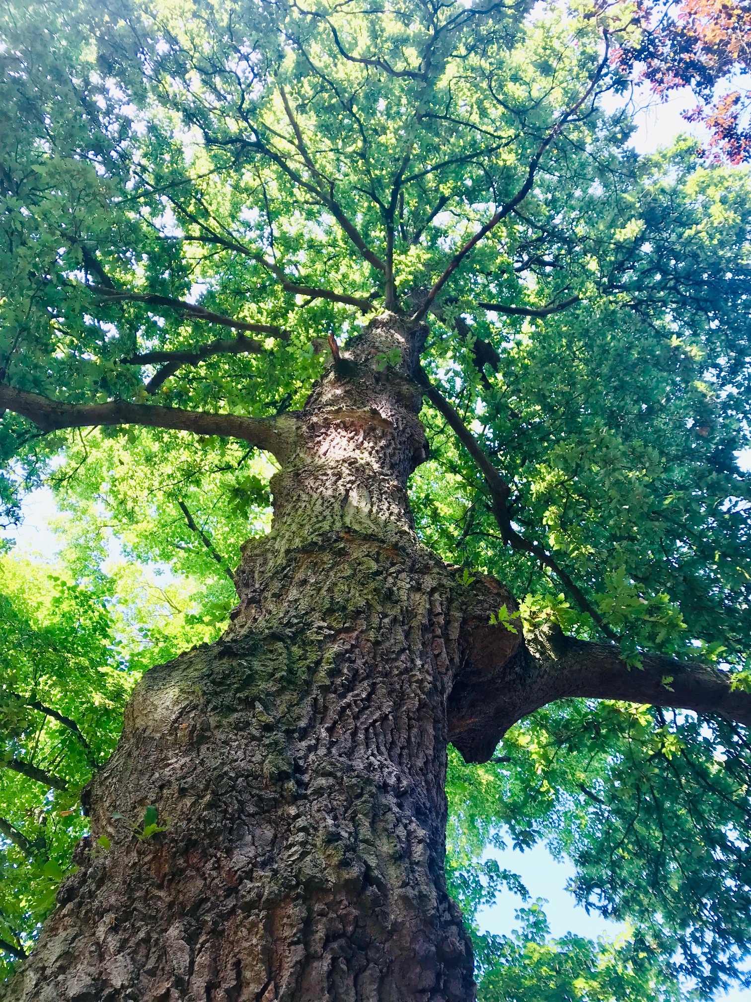 Milton Hall Cambridge - Photography competition